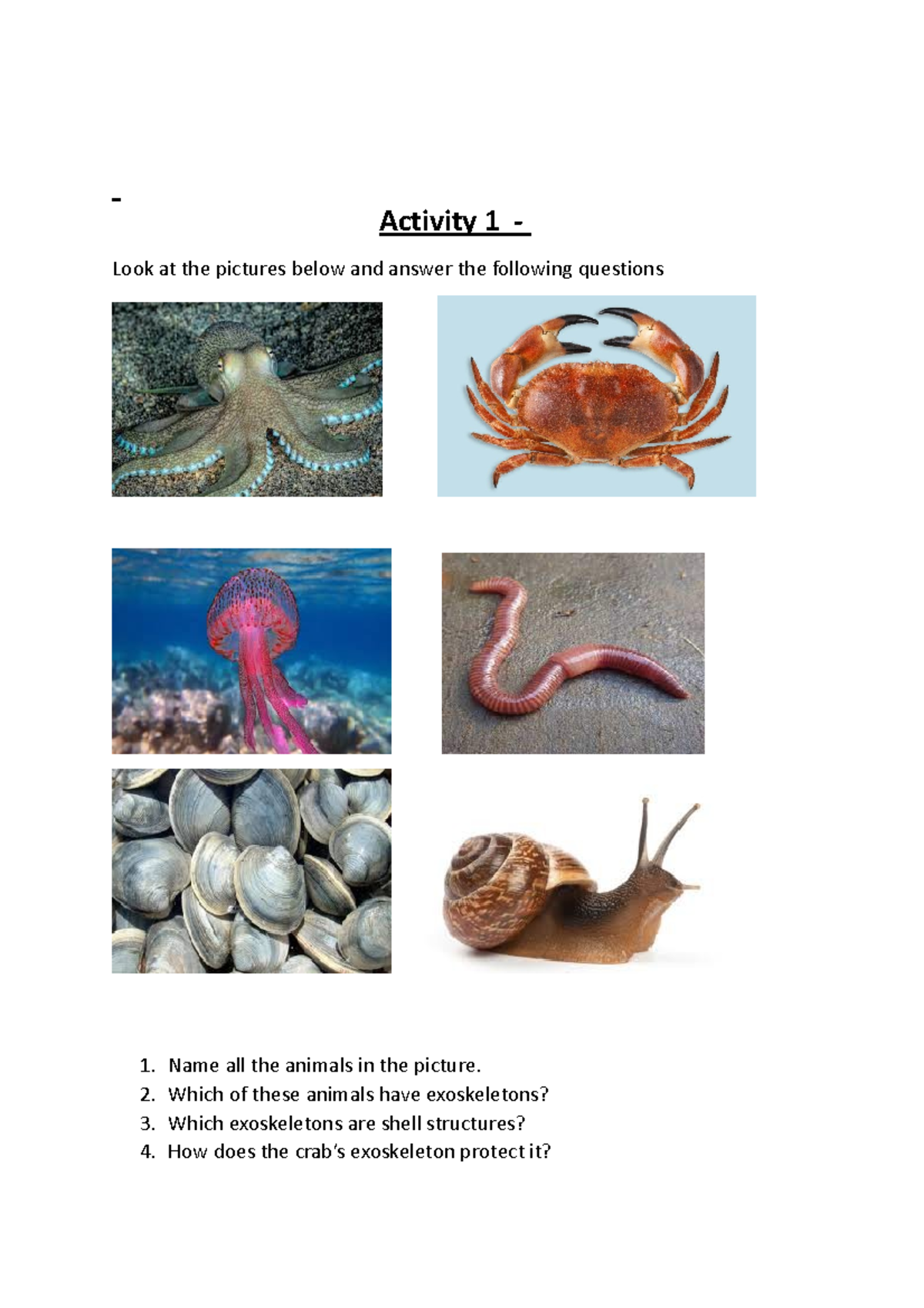 TNST Activities-1 - Class activity - Natural Sciences Grade 8 ...