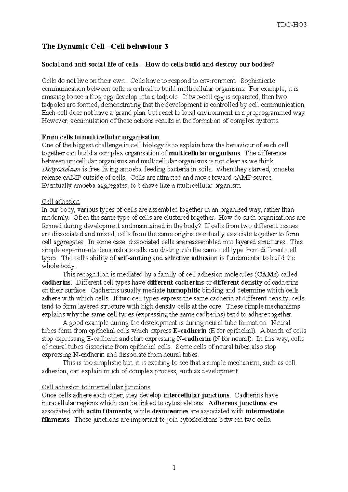 Cell Behaviour 3 Notes - TDC-HO3 The Dynamic Cell –Cell behaviour 3 ...