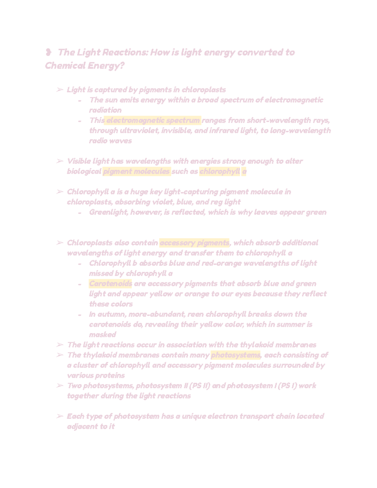 The Light Reactions How is light energy converted to Chemical Energy ...