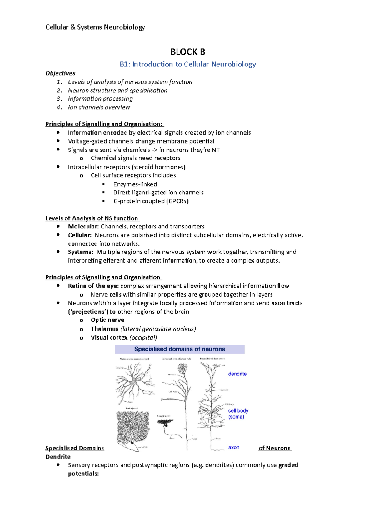 Block B - BLOCK B B1: Introduction to Cellular Neurobiology Objectives ...