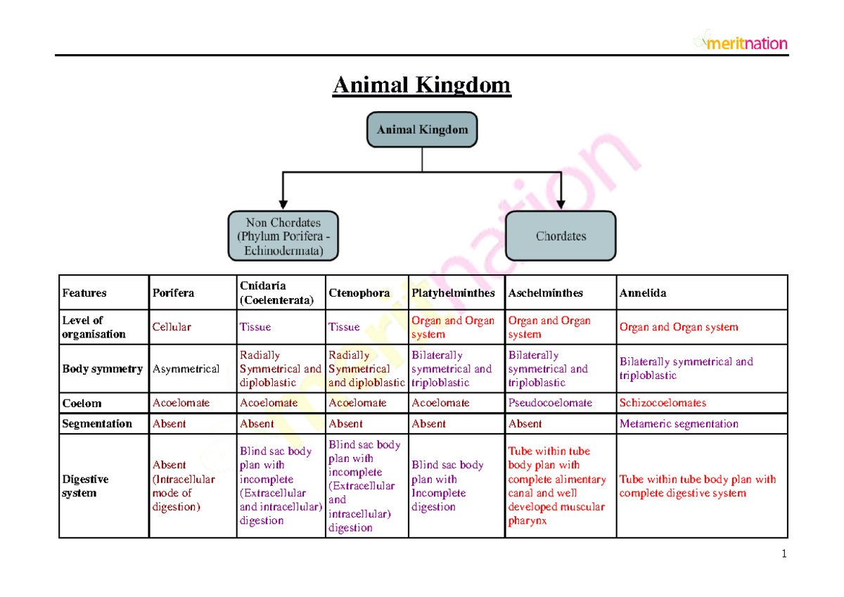 Aipmt Biology Animal Kingdom Notes Diagrams - Animal Kingdom Features ...
