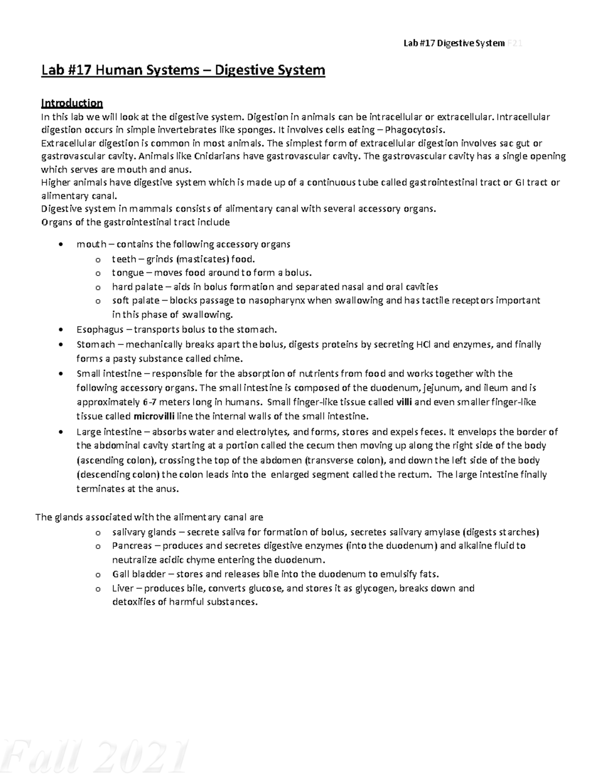Lab #17 Digestive System - Lab #17 Human Systems – Digestive System ...