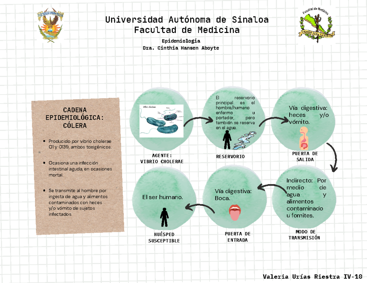 Cadena epidemiologica del colera - PUERTA DE SALIDA Epidemiología Dra. Cinthia Hansen Aboyte ...