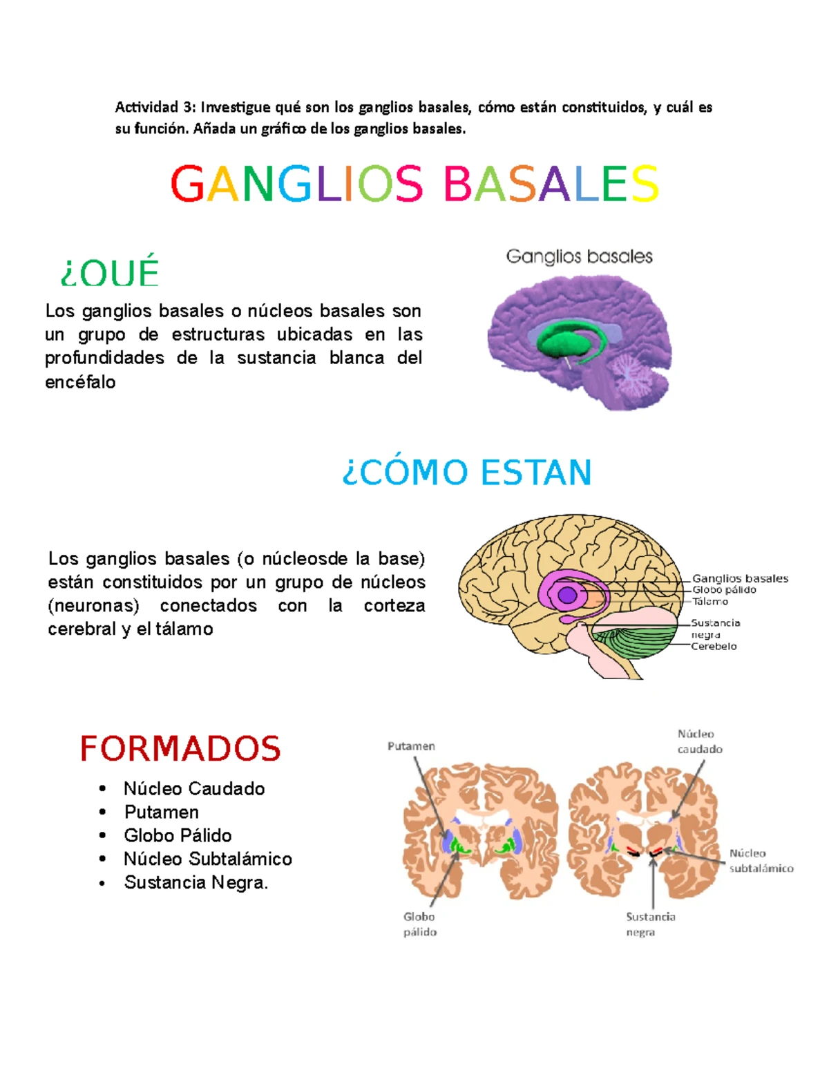 Equino Y Bovino - Anatomia comparada de los huesoos coxal, fémur, tibia ...