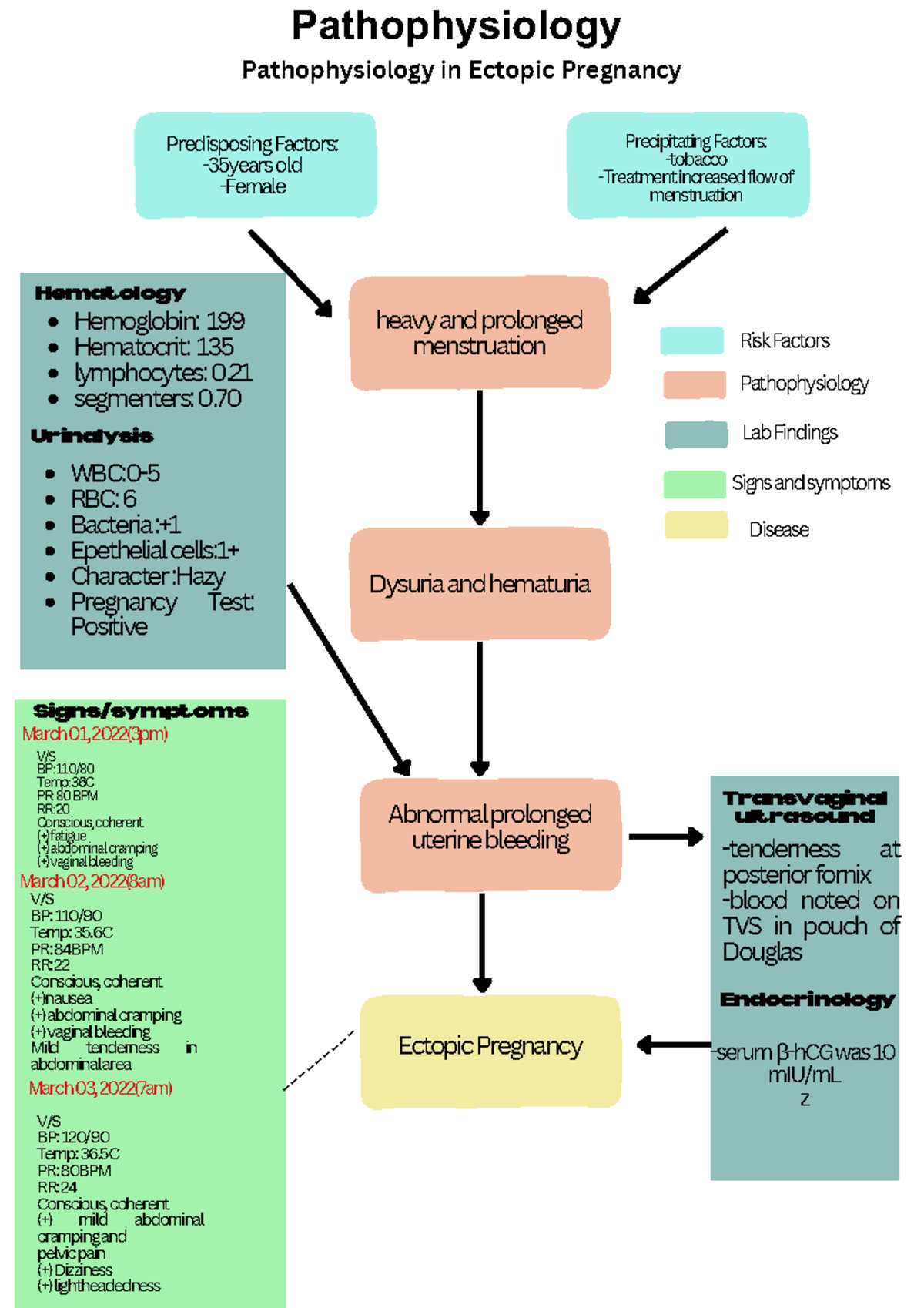 Pathophysiology - Notes - Pathophysiology Pathophysiology in Ectopic ...