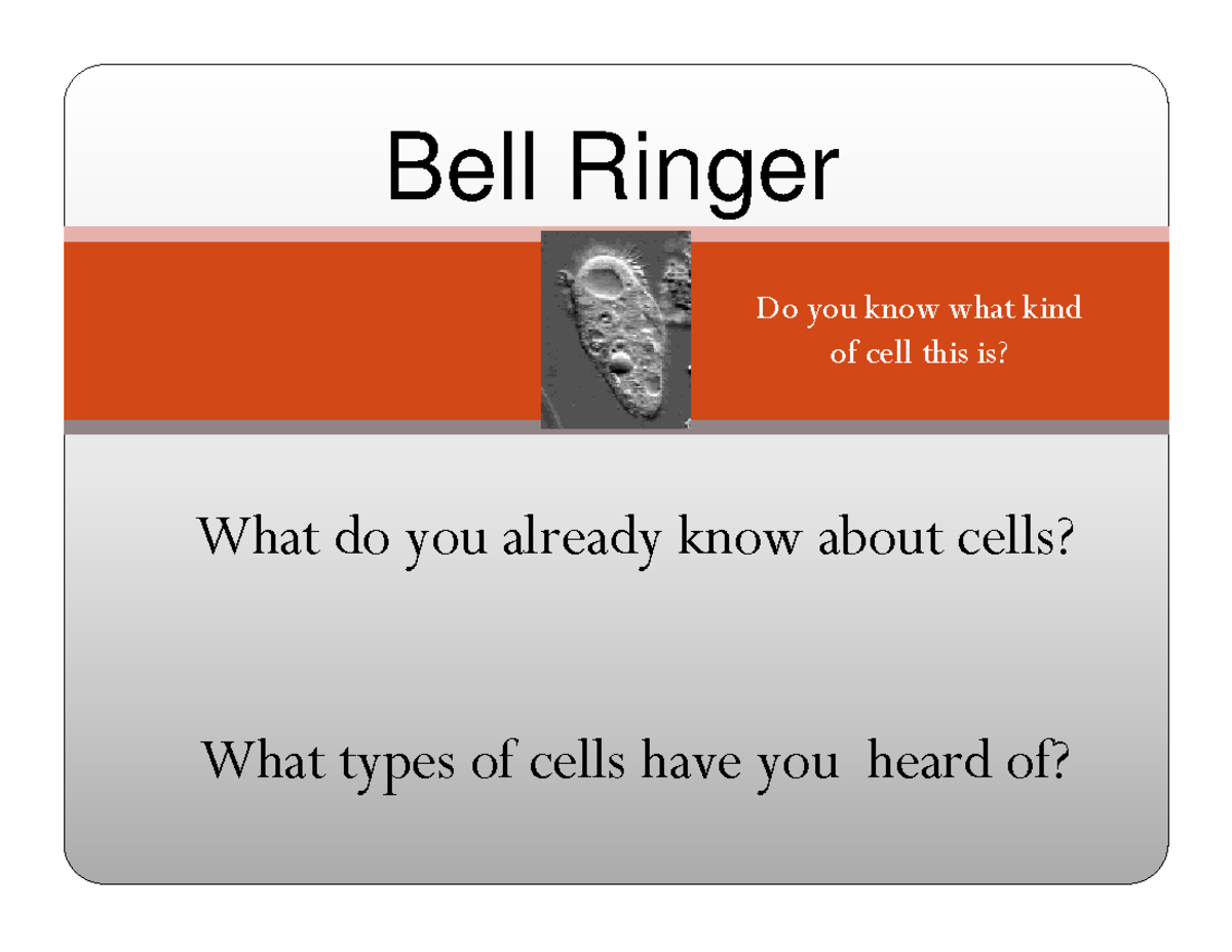 Cells Notes PPT - Bell Ringer - Studocu