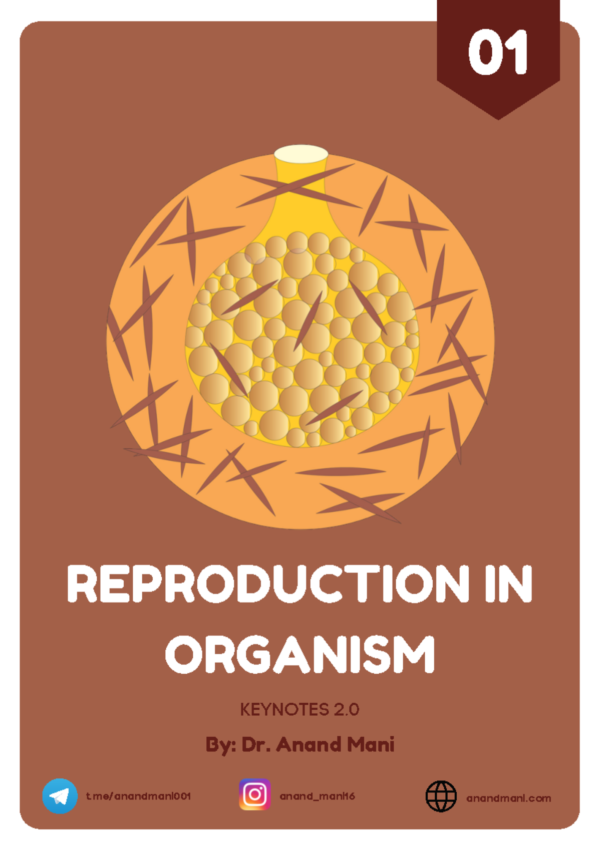 Reproduction In Organisms - REPRODUCTION IN ORGANISM 01 KEYNOTES 2. By ...