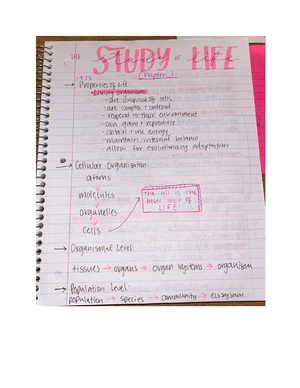 DNA Gizmo - Biology assignment practicing DNA - Name: Matthew Rodriguez ...