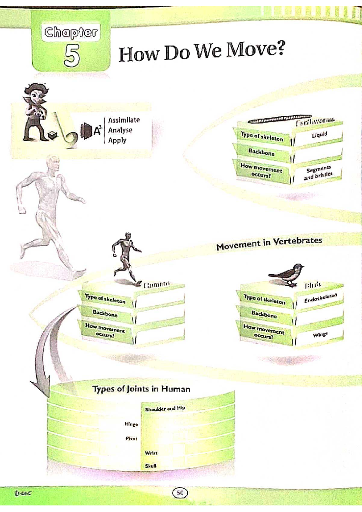 Biology Wrkbk Ch-5 How do we Move - BSc. life sciences - Studocu