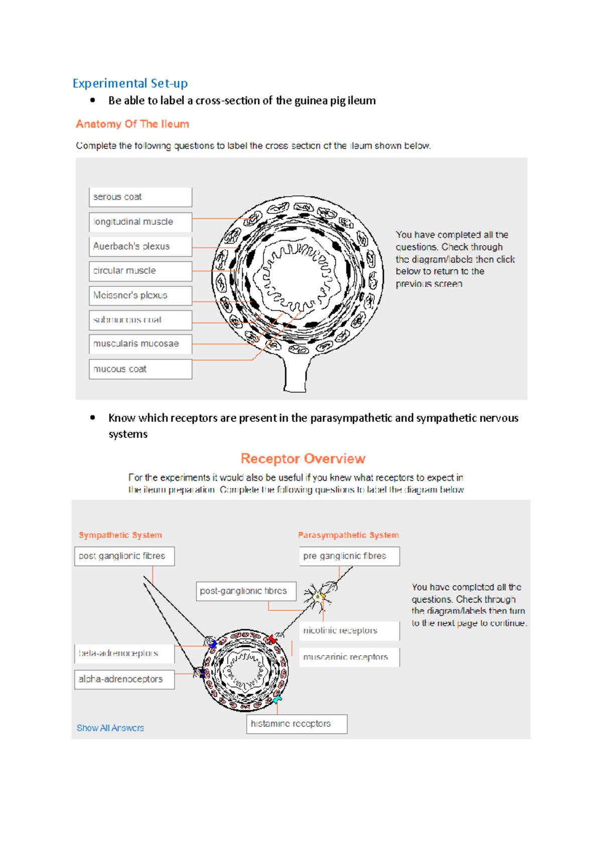 Guinea Pig Ileum a tutorial on receptor pharmacology - Experimental Set ...