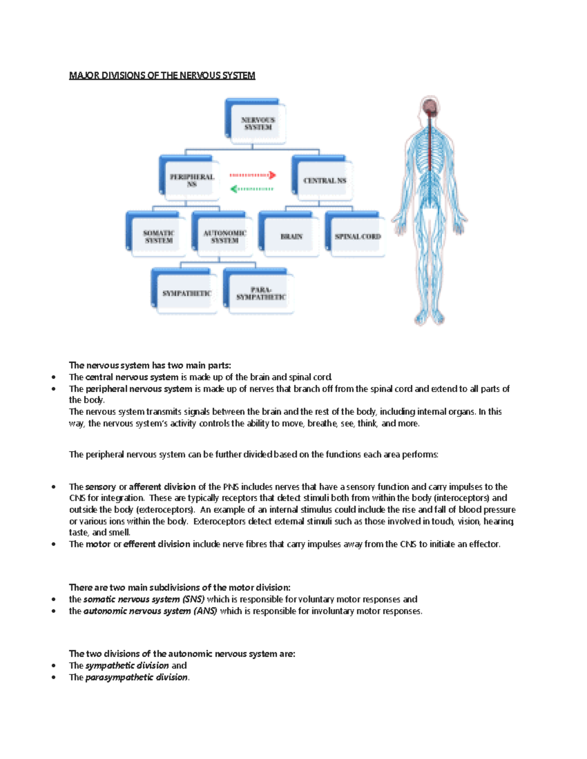 2. Major Divisions of Nervous System-converted - Warning: TT: undefined function: 32 MAJOR ...