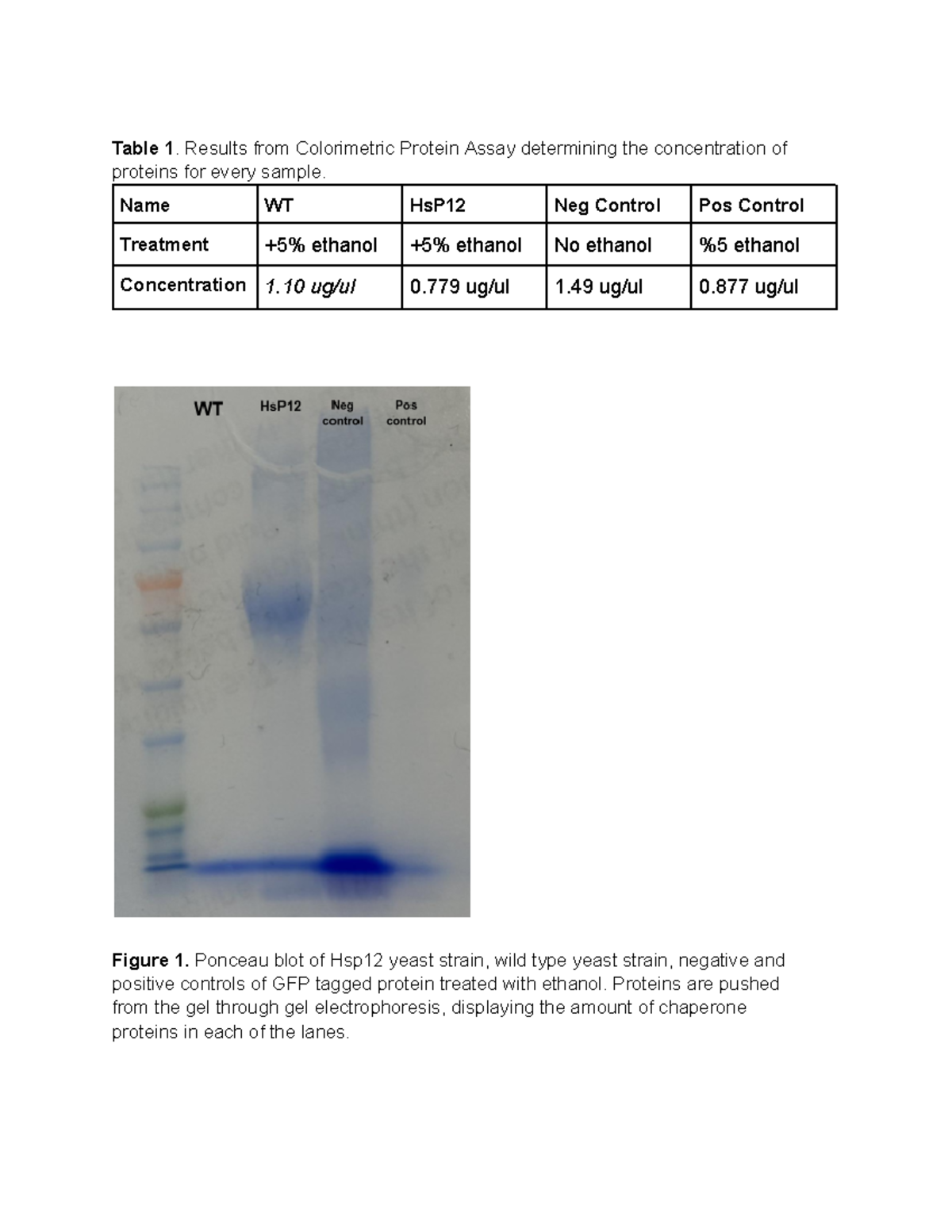 Yeast table - Table 1. Results from Colorimetric Protein Assay ...