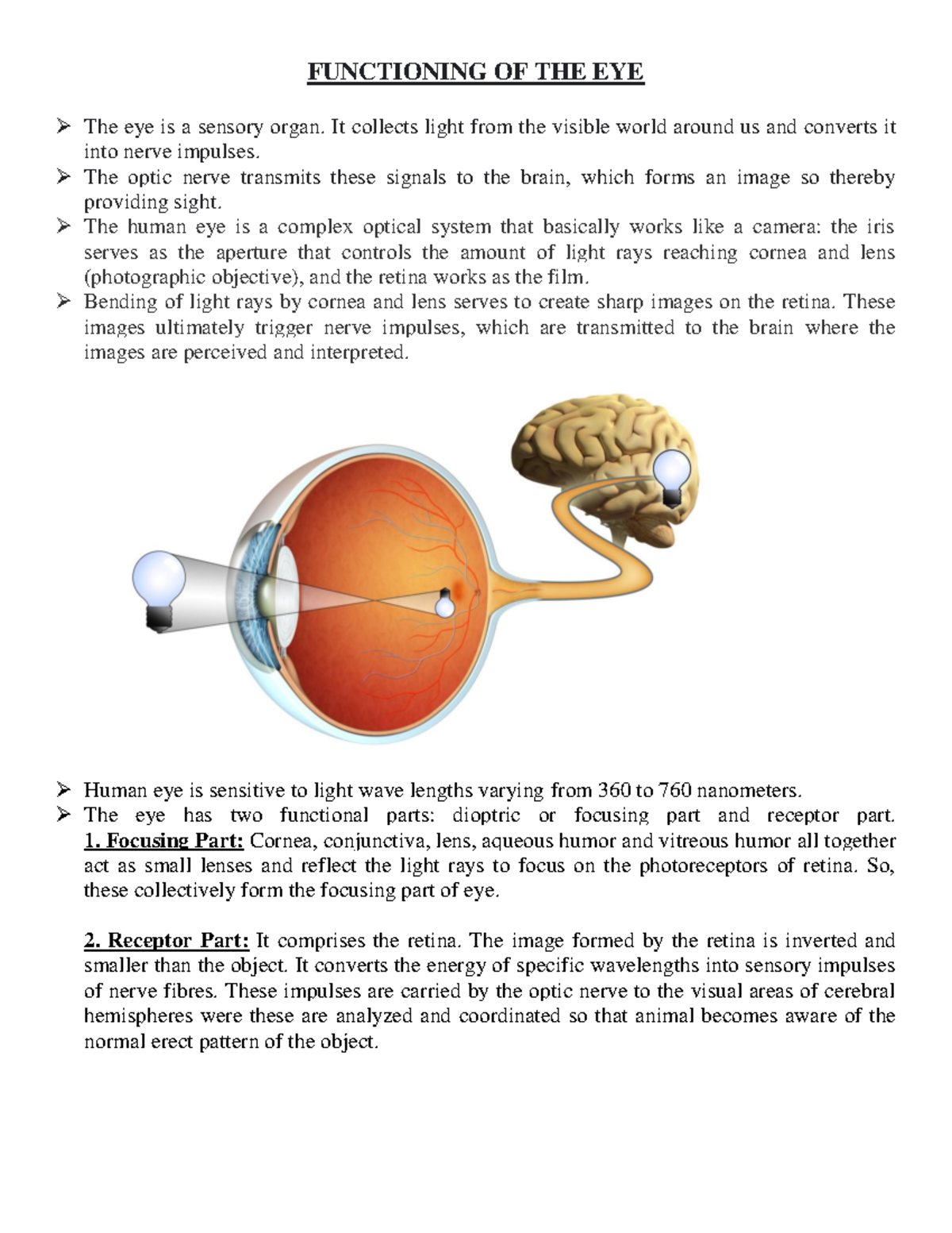 Functioning of Eye-notes-1 - FUNCTIONING OF THE EYE The eye is a ...