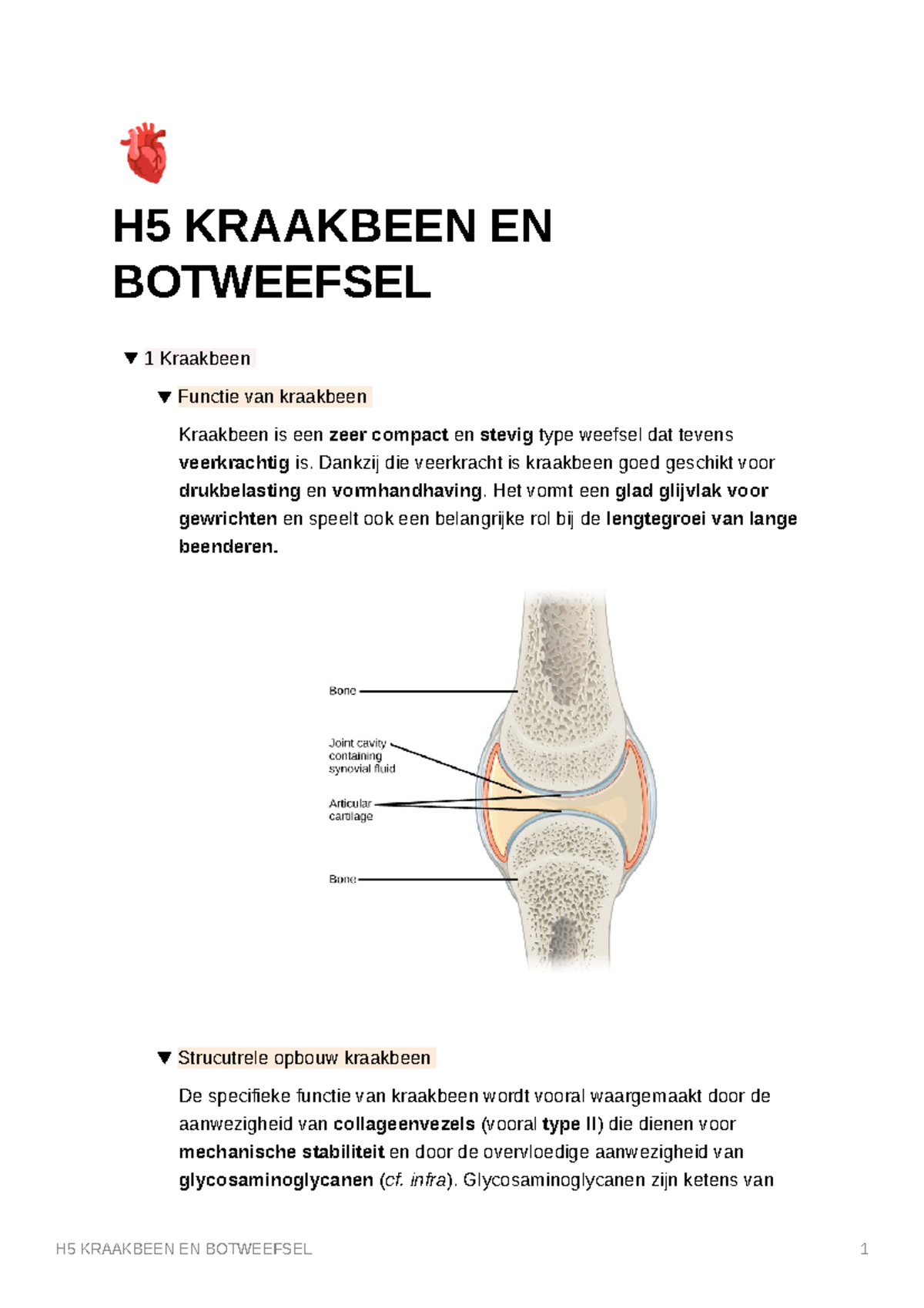 H5 Kraakbeen EN Botweefsel - h H5 KRAAKBEEN EN BOTWEEFSEL 1 Kraakbeen ...