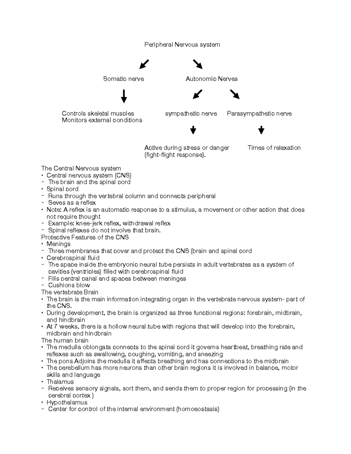 nervous system PT2 - Peripheral Nervous system Somatic nerve Autonomic ...