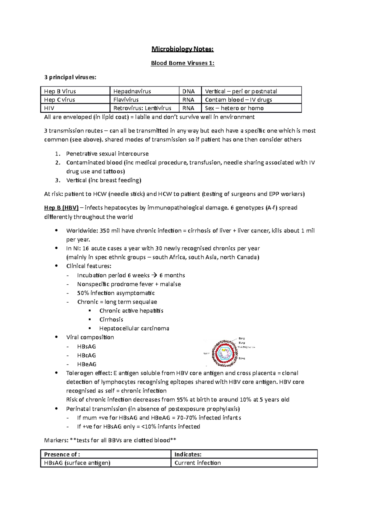 Microbiology notes - ####### Microbiology Notes: Blood Borne Viruses 1: ...