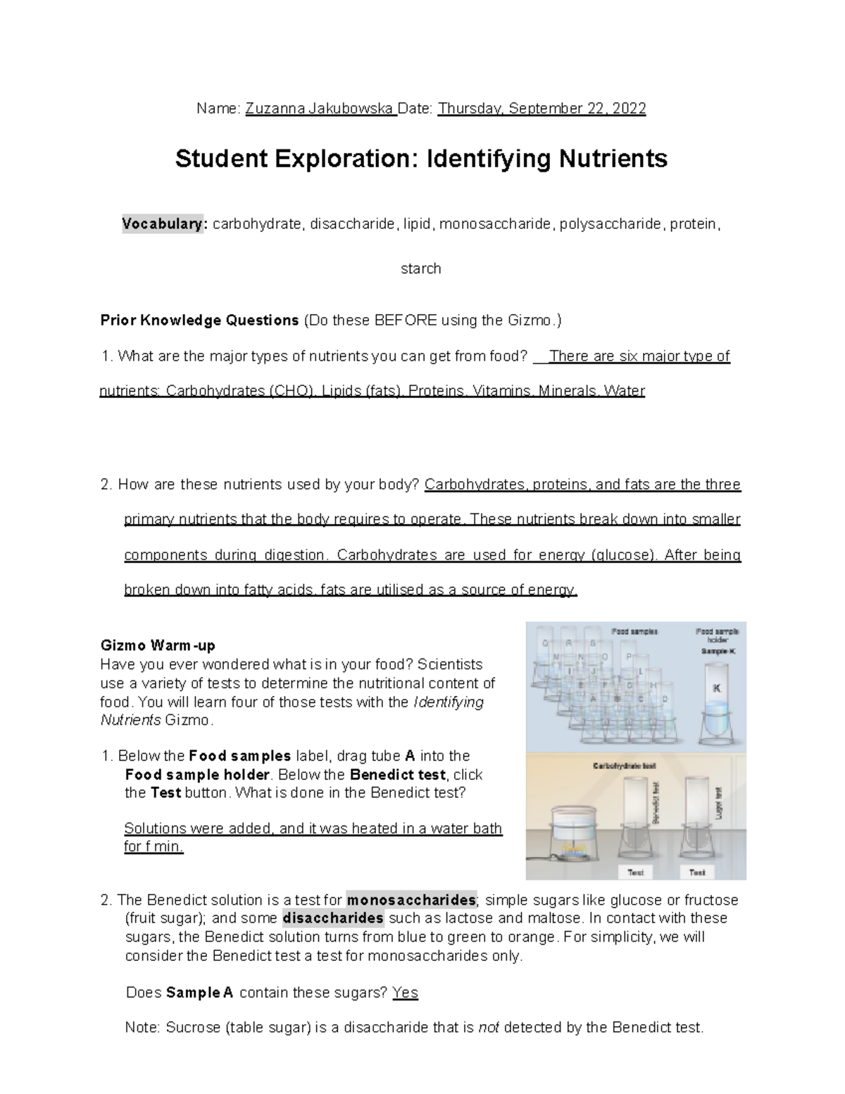 Identifying Nutrients SE (1) - Name: Zuzanna Jakubowska Date:Thursday ...