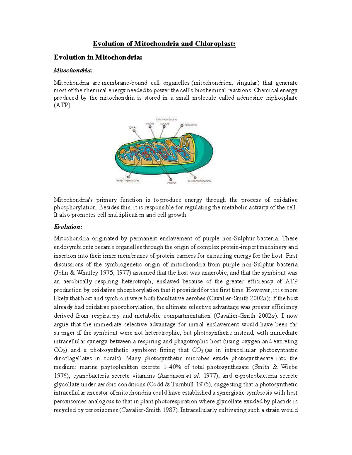 123445 - Evolution of Mitochondria and Chloroplast: Evolution in ...