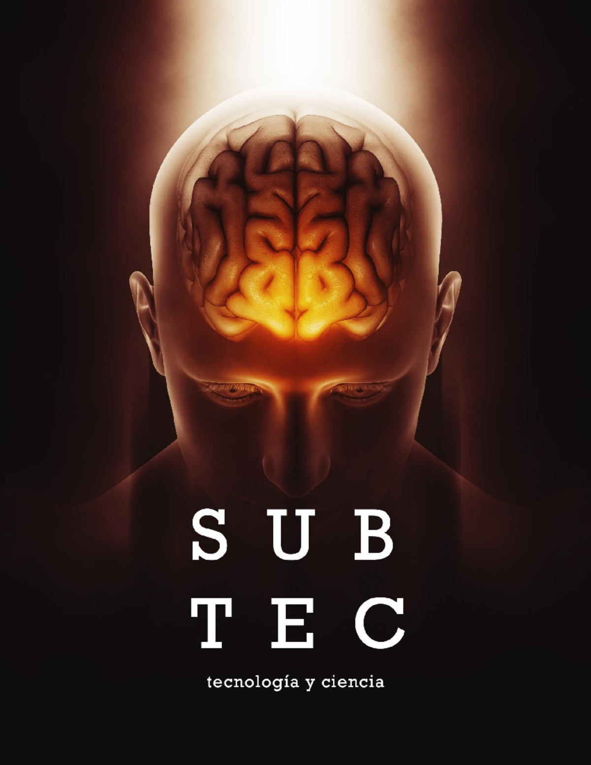 Sub Tec(Proyecto final) 02 - Asignatura Planificación Estratégica II ...