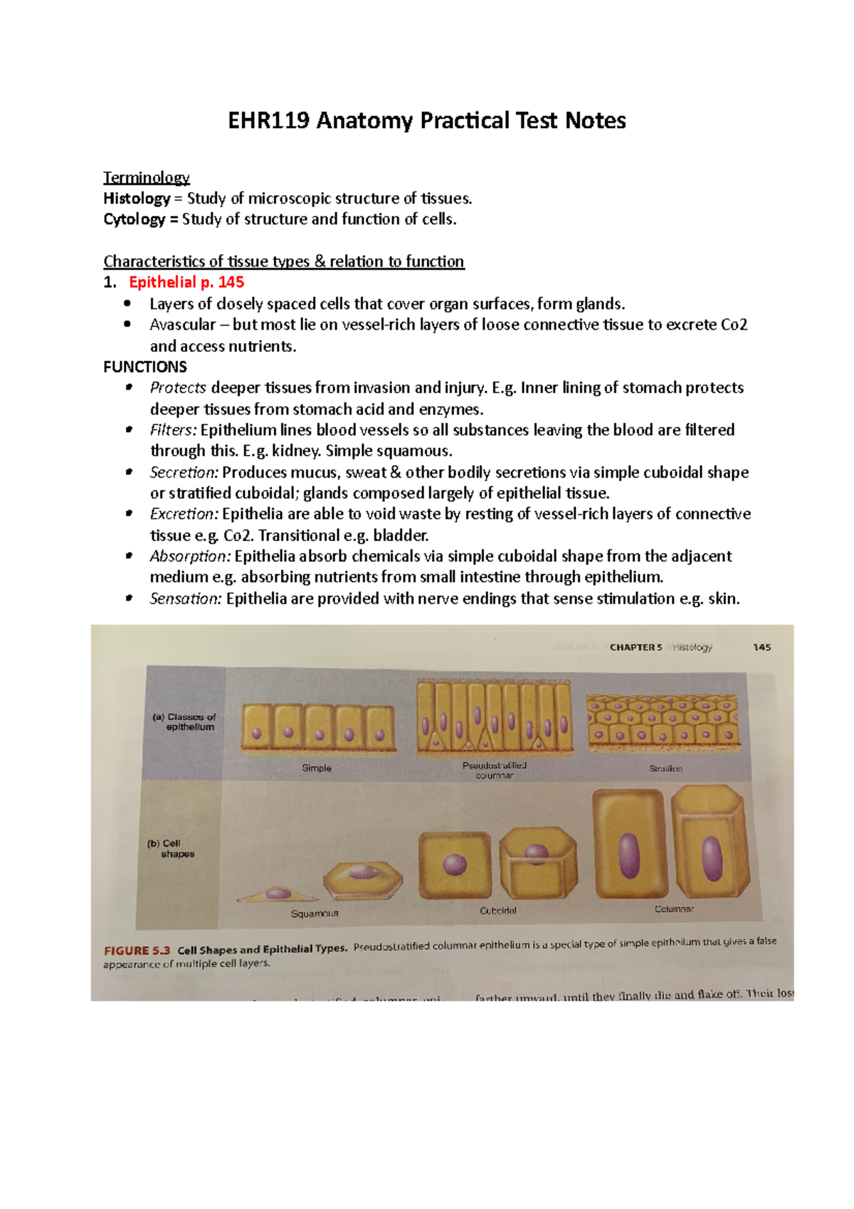 EHR119 Anatomy Practical Test Notes - EHR119 Anatomy Practical Test ...