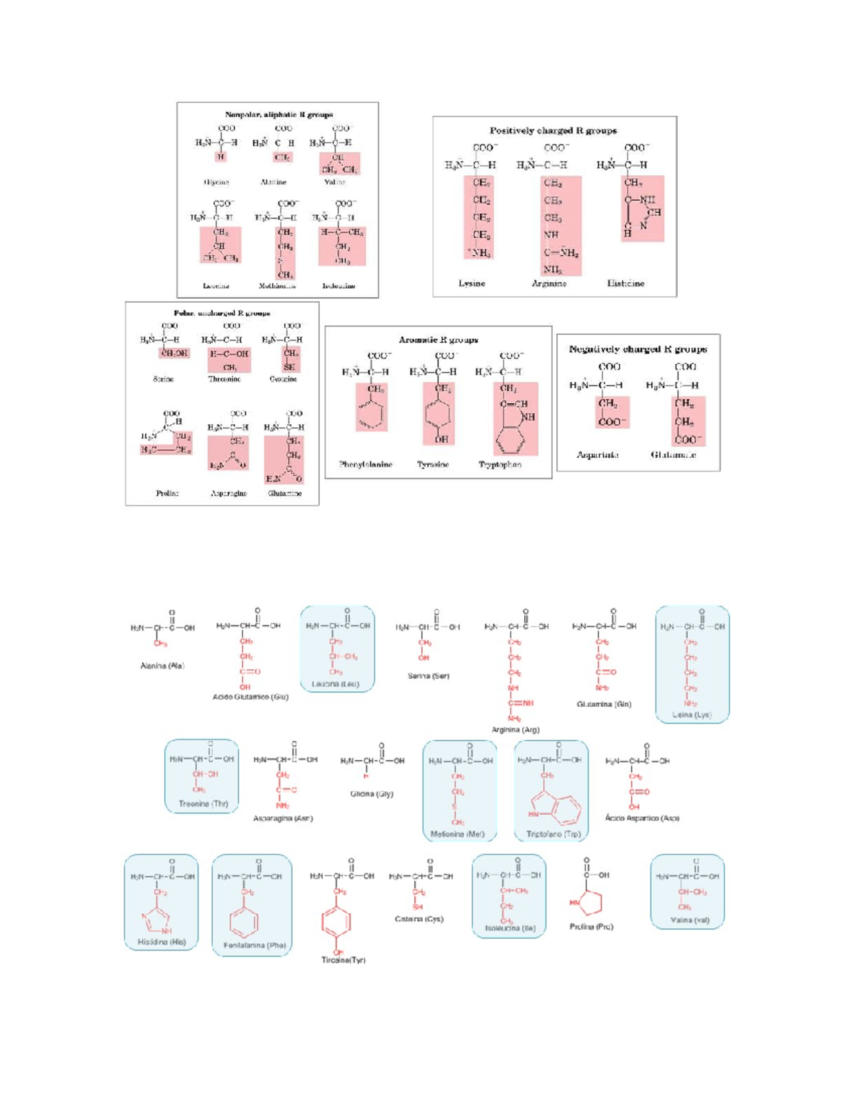 Clasificacion DE LOS Aminoacidos JOPC - Nonpolar, aliphatic R groups ...