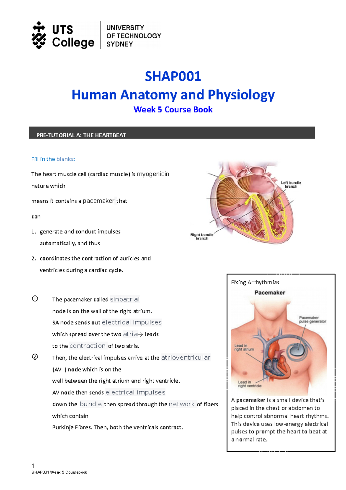 SHAP001 Week 5 Coursebook - SHAP Human Anatomy and Physiology Week 5 Course Book PRE-TUTORIAL A ...