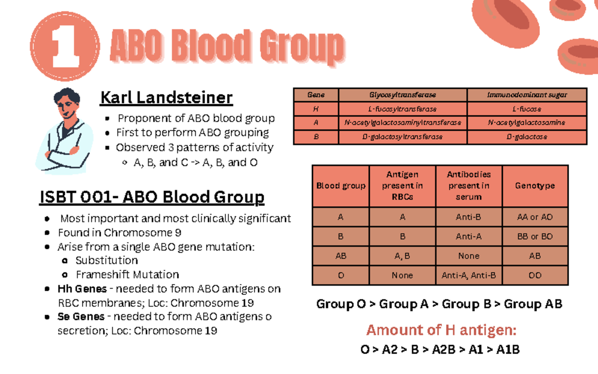 ABO Blood Group - Gene Glycosyltransferase Immunodominant sugar H L ...