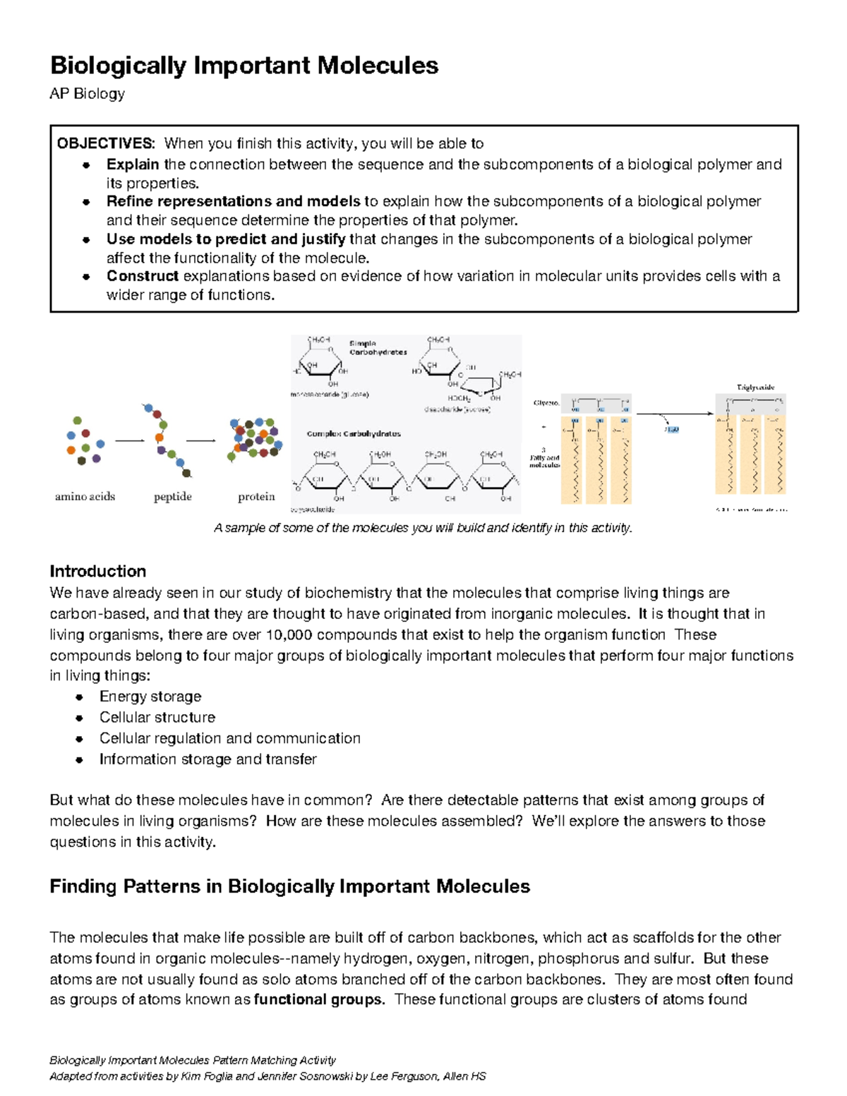 Biologically Important Molecules Activity - Biologically Important ...