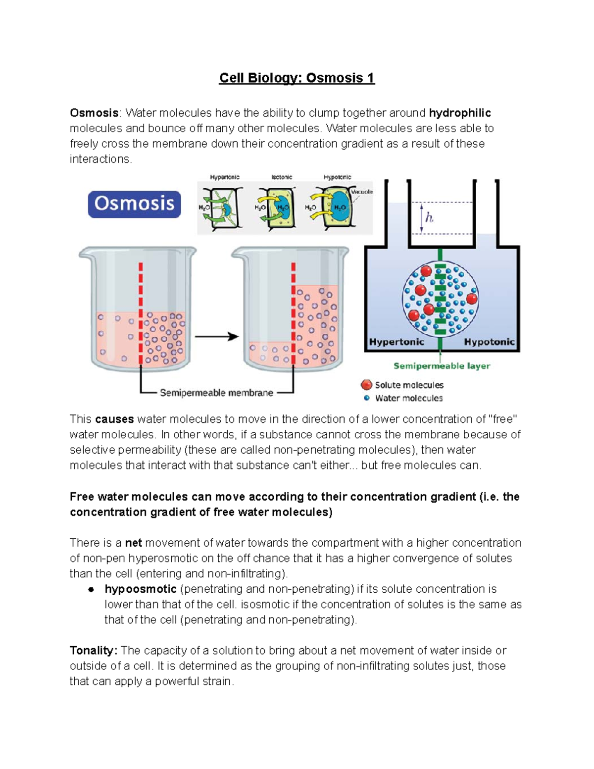 Cell Biology Osmosis 1 - Water molecules are less able to freely cross ...