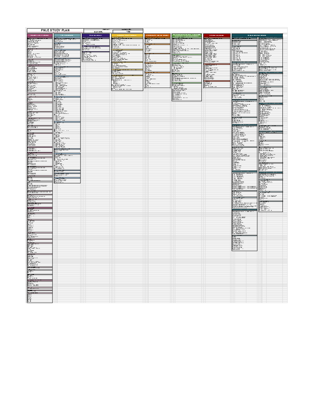 PNLE20 Study 20PLAN - PNLE STUDY PLANEDITED BY: S.M.S DAYS LEFT: EXAM ...