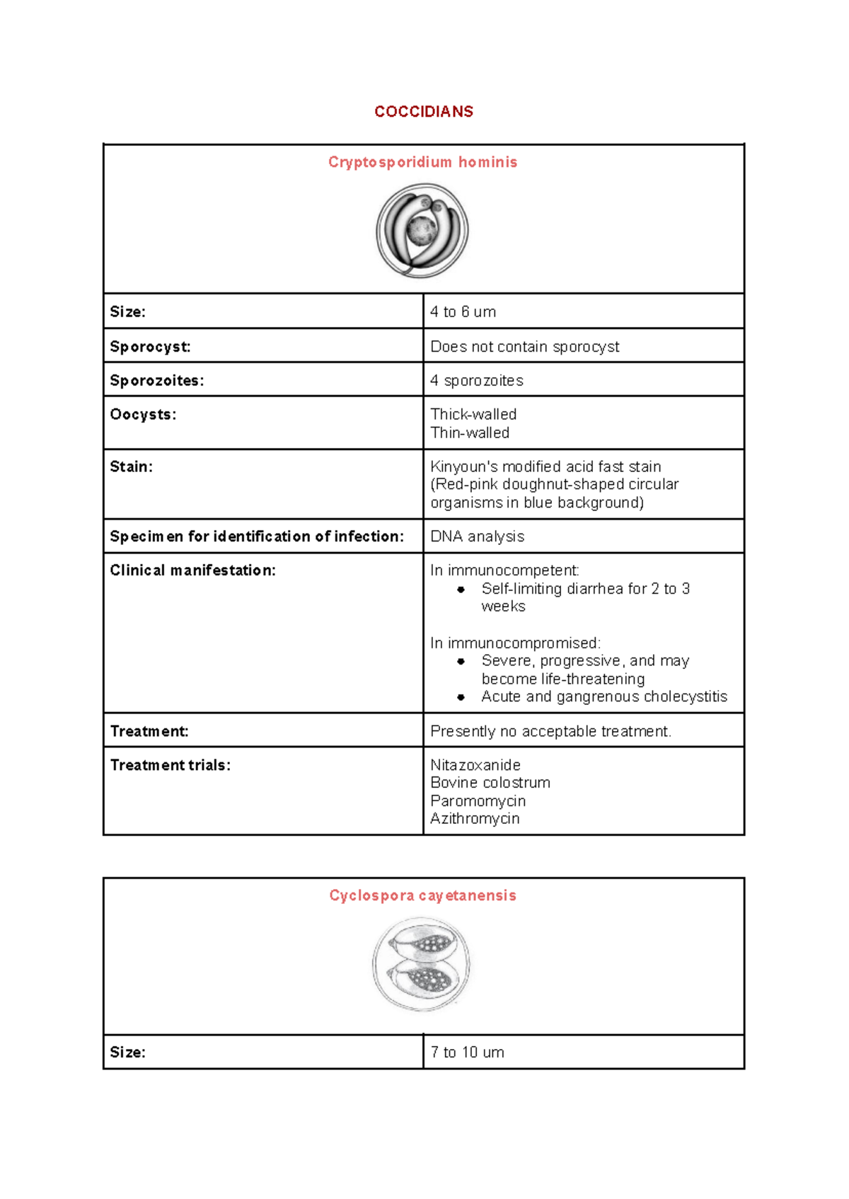 Parasitology- Coccidians - COCCIDIANS Cryptosporidium hominis Size: 4 ...