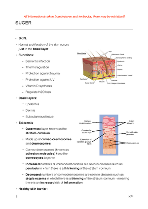 Histology of Nerve and Muscle - Slow twitch Oxidative Fatigue resistant ...