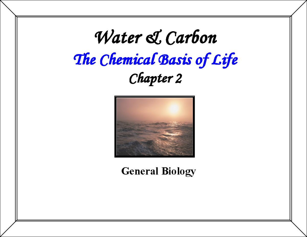Chapter 2 - Water and Carbon - The Chemical Basis of Life - Water ...