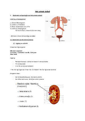 Anatomie latijnse termen - Wervels, algemeen vertebrae wervel processus ...