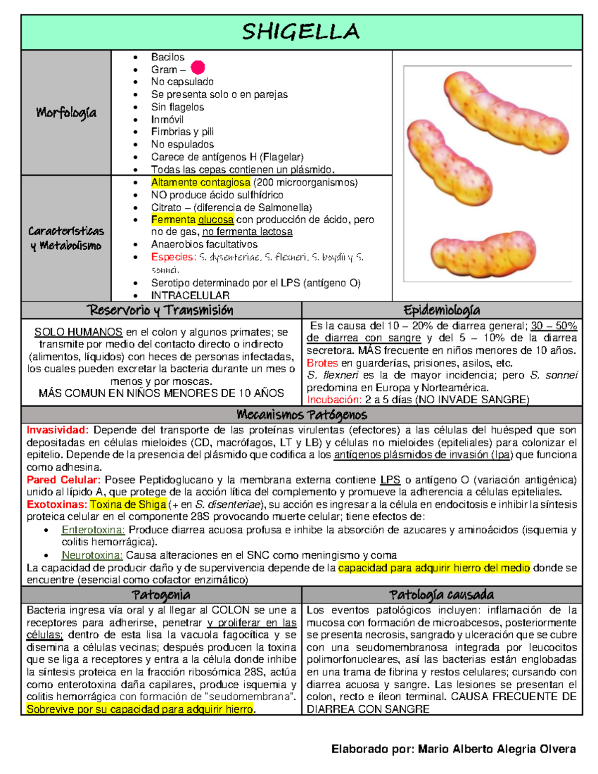 9. Shigella - APUNTES - SHIGELLA Morfología Bacilos Gram – No capsulado ...