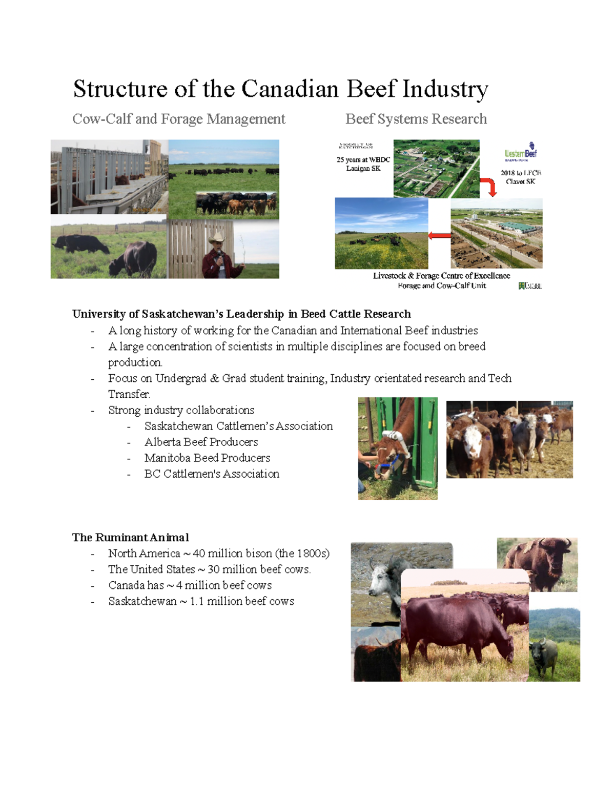 Beef Production Module - Structure of the Canadian Beef Industry Cow ...