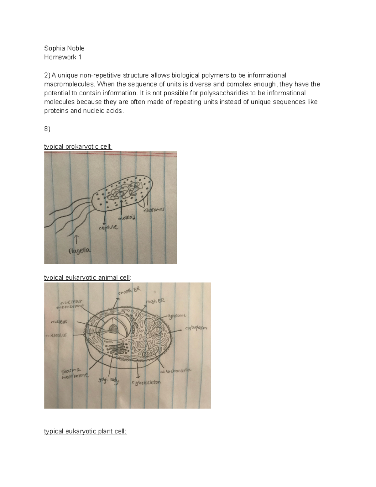 Biochemistry I Homework #1 - Sophia Noble Homework 1 A unique non ...