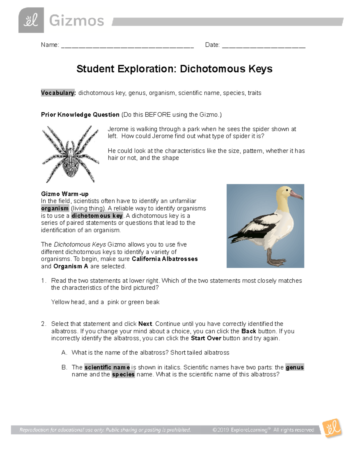 Gizmo Dichotomous Keys copy - Name ...
