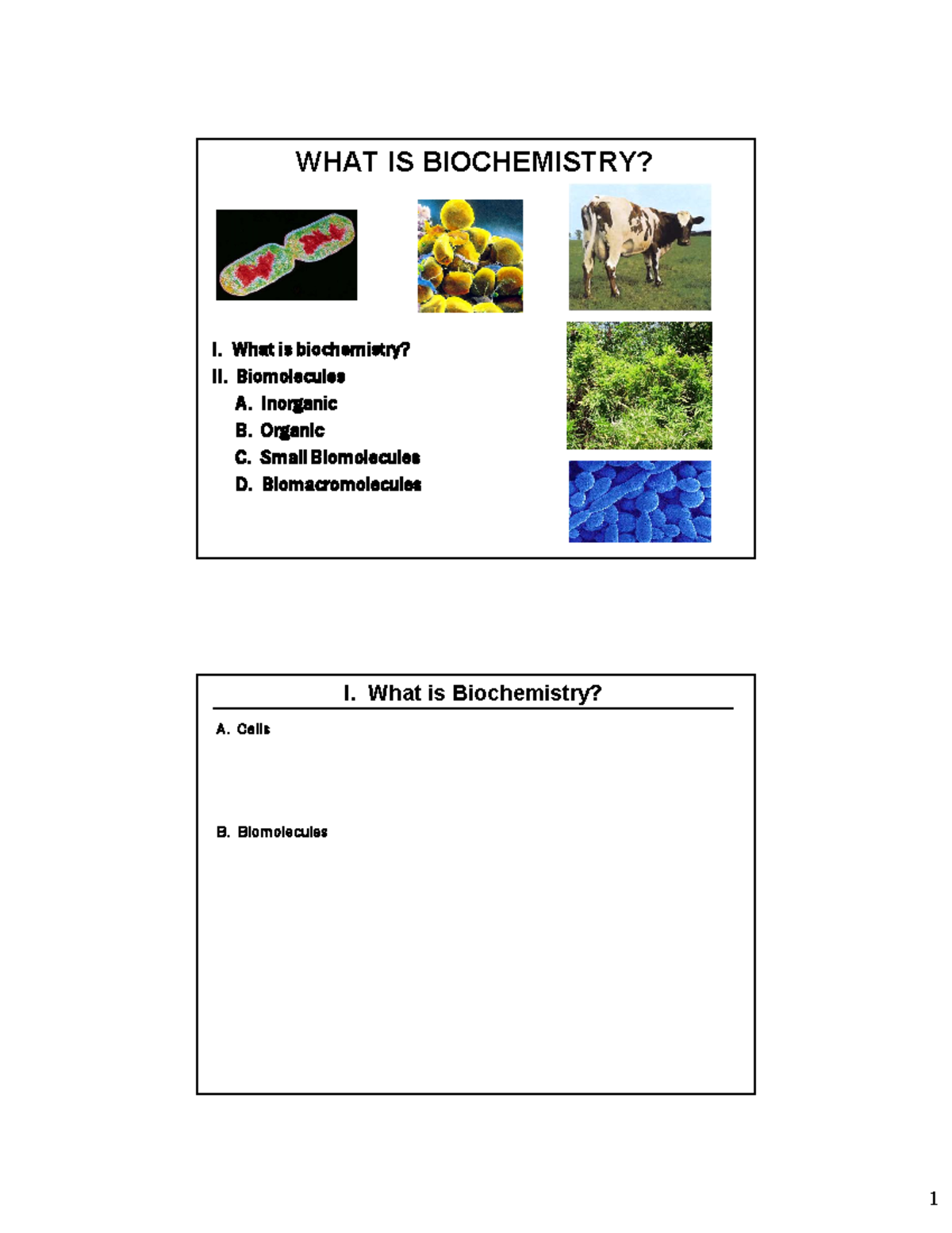1. What is biochemistry - WHAT IS BIOCHEMISTRY? I. What is biochemistry ...