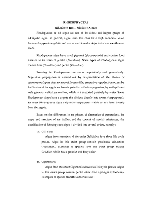 Botany Cryptogamae 03 Chrysophyceae - CHRYSOPHYCEAE (Chrysos = Gold ...