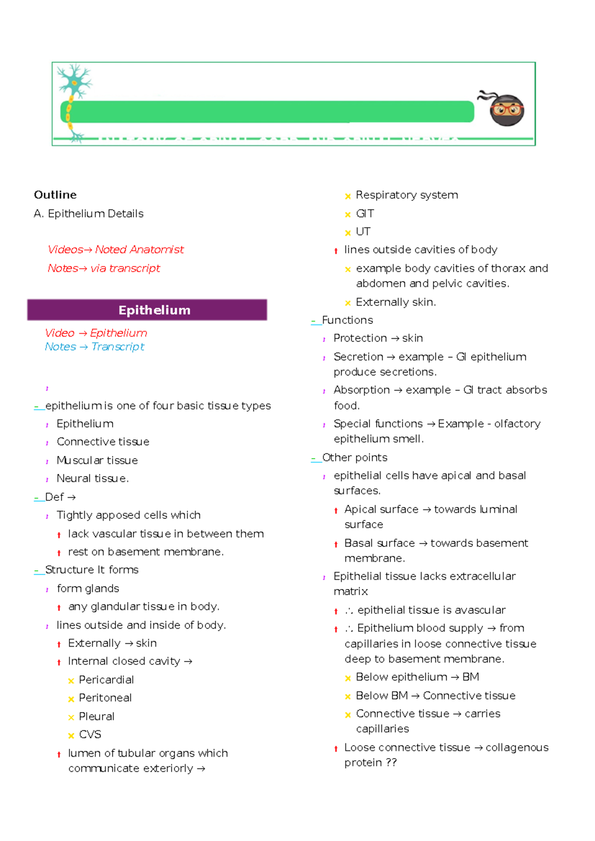Epithelium Location + Mnemonics - Noted Anatomist Notes + Mnemonic ...