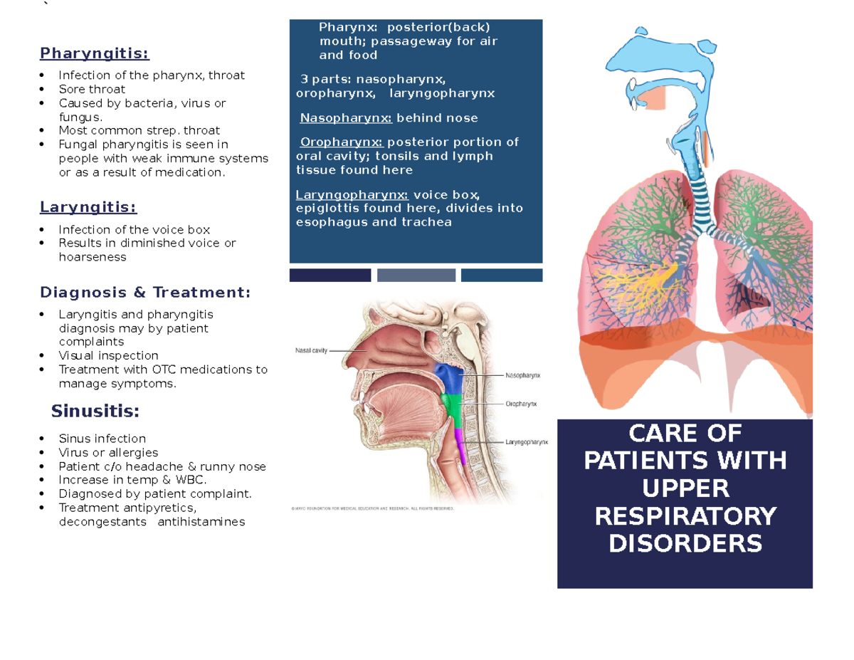 CH 12 & 13 Flyer - notes for resp - ` Pharyngitis: Infection of the ...
