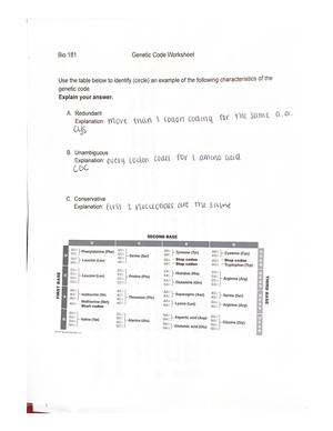 Concept Map 5 - BIO 181 - Gene Expression and Control genes gene ...