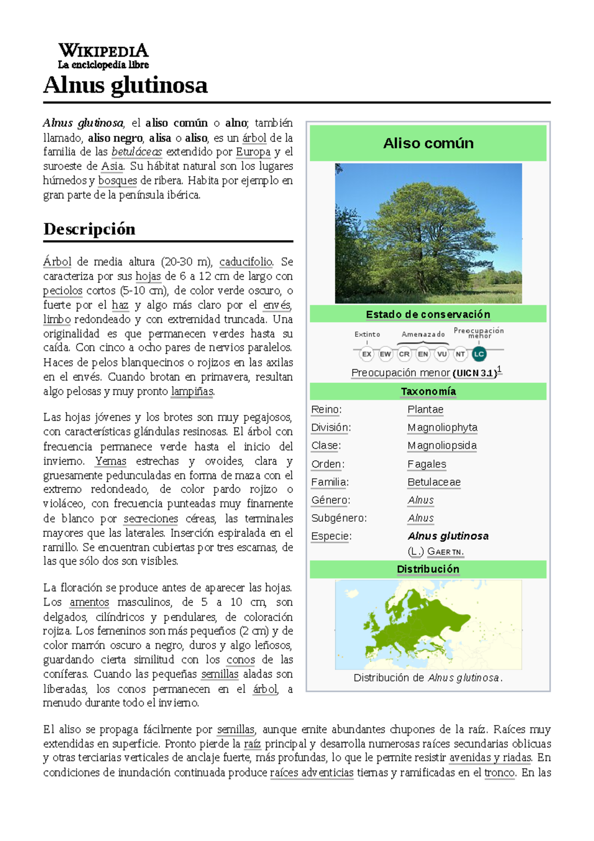 Alnus glutinosa - APUNTES - Aliso común Estado de conservación ...