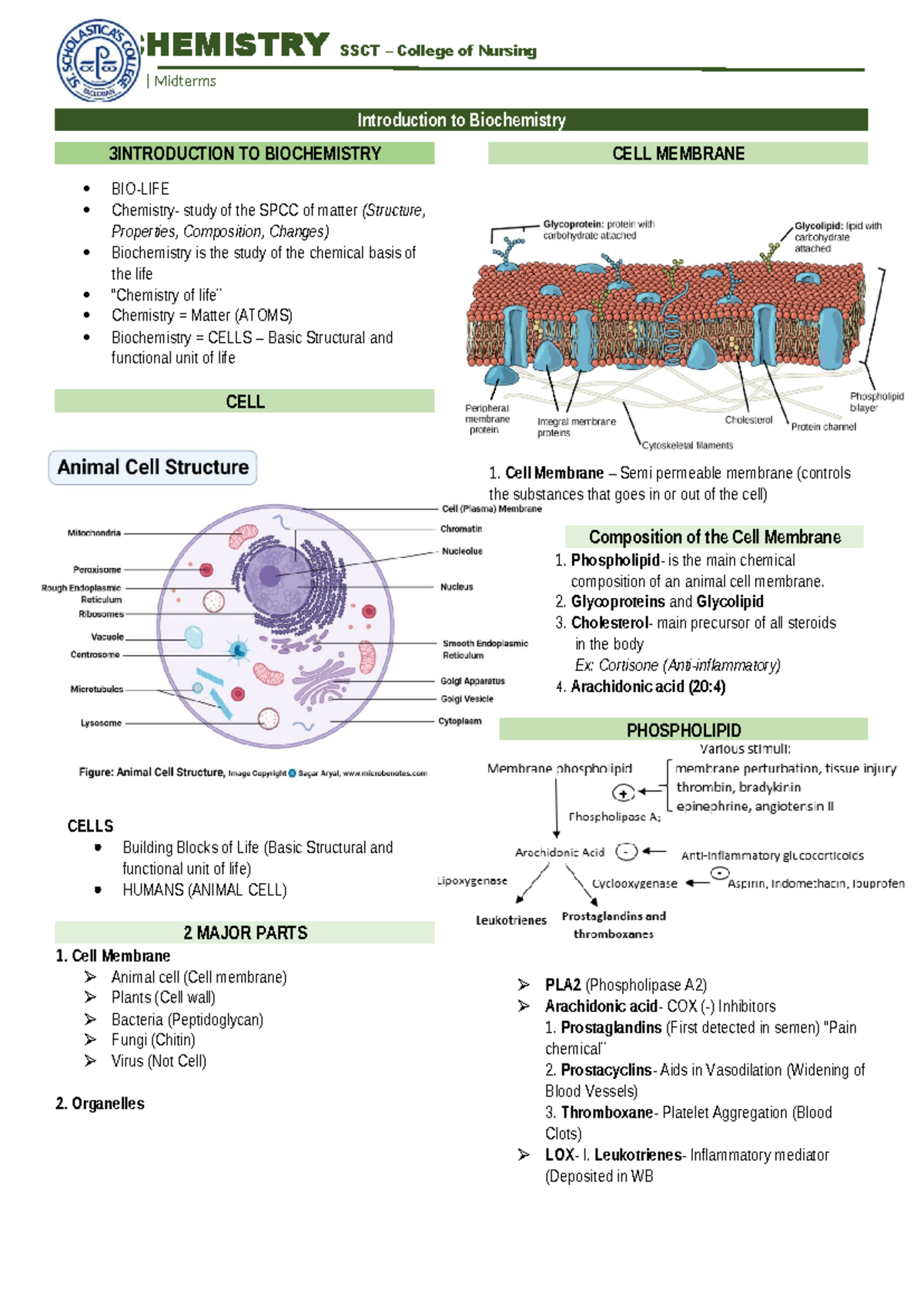 Biochemistry- Midterms - BIOCHEMISTRY SSCT – College of Nursing 1 st ...