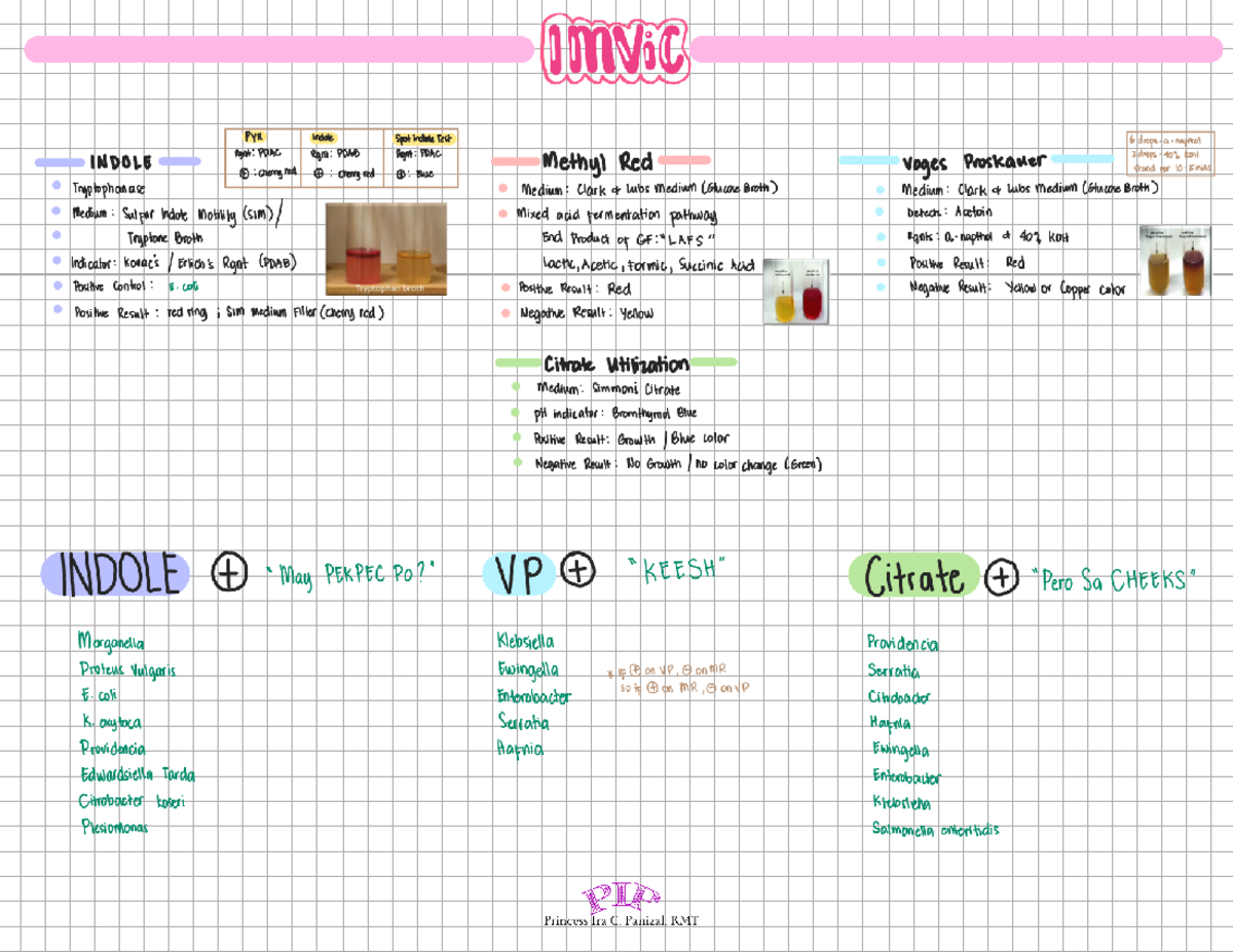 IMVi C - Microbio imvic - IMVIC PYR Indole Spot indole Test INDOLE Rgnt ...