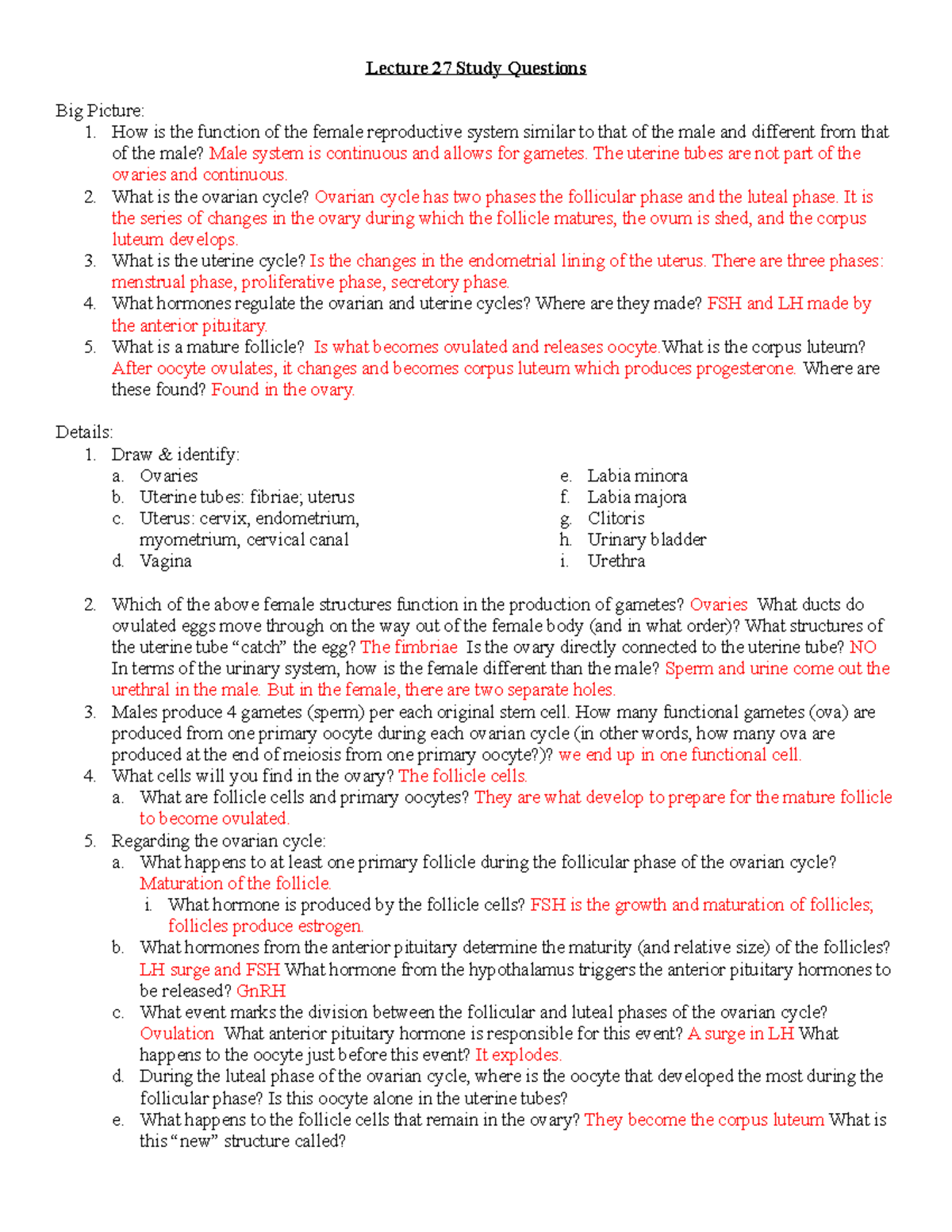 Lecture 27 Study Questions - Lecture 27 Study Questions Big Picture: 1 ...