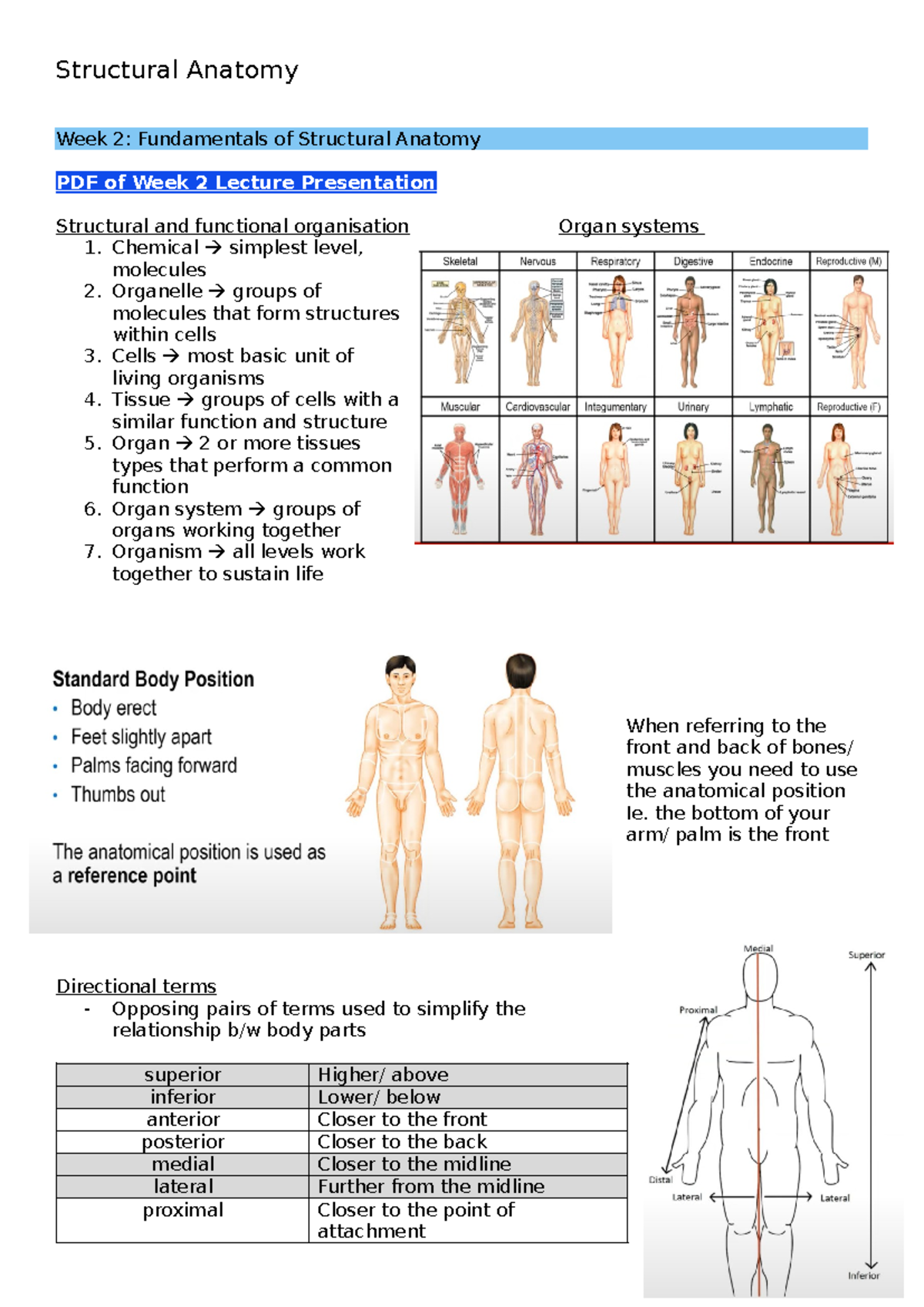 SA lecture notes - w2-6 - Structural Anatomy Week 2: Fundamentals of ...