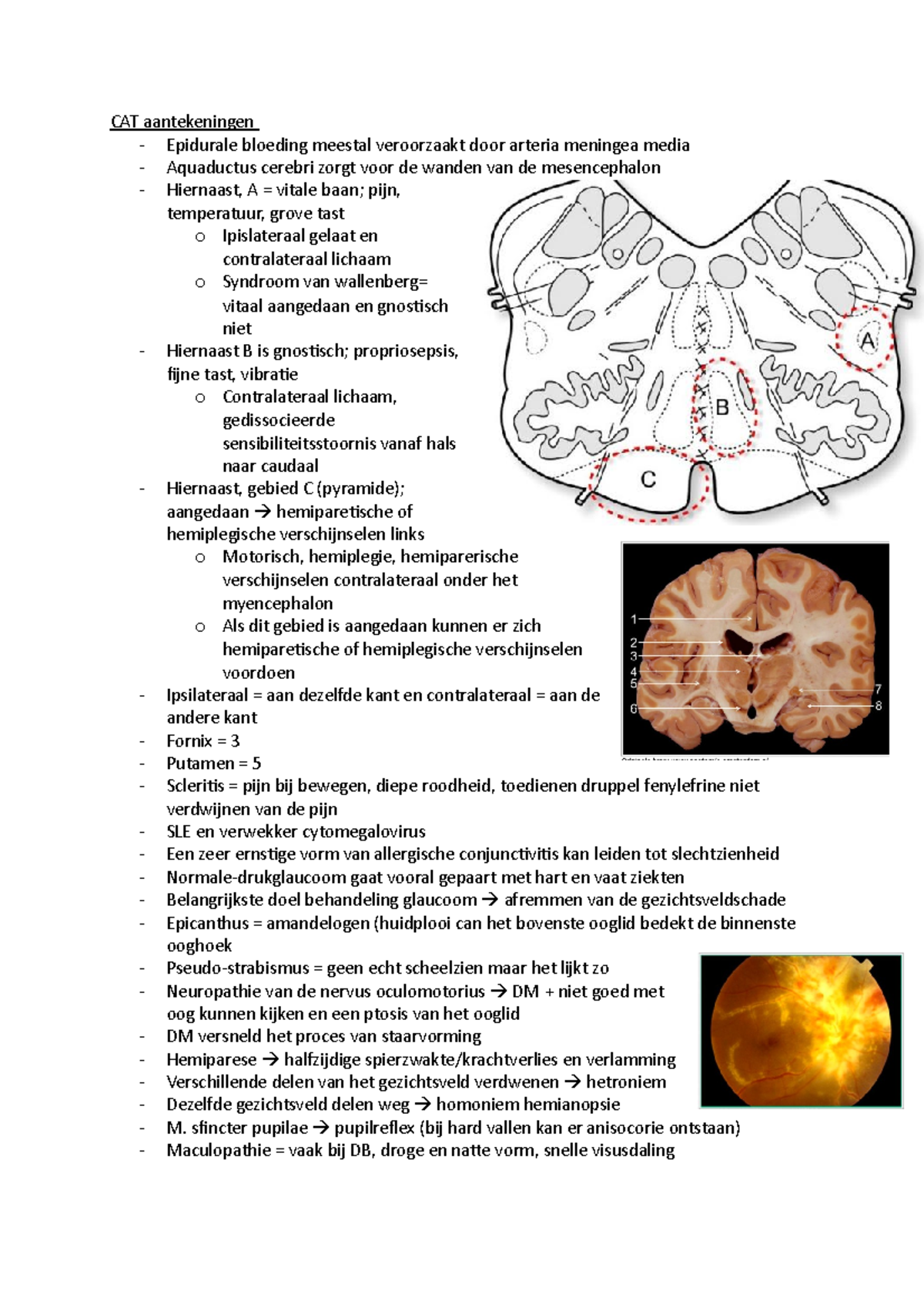 Neuro CATdocx - Alle vragen en antwoordopties uitgewerkt van alle ...