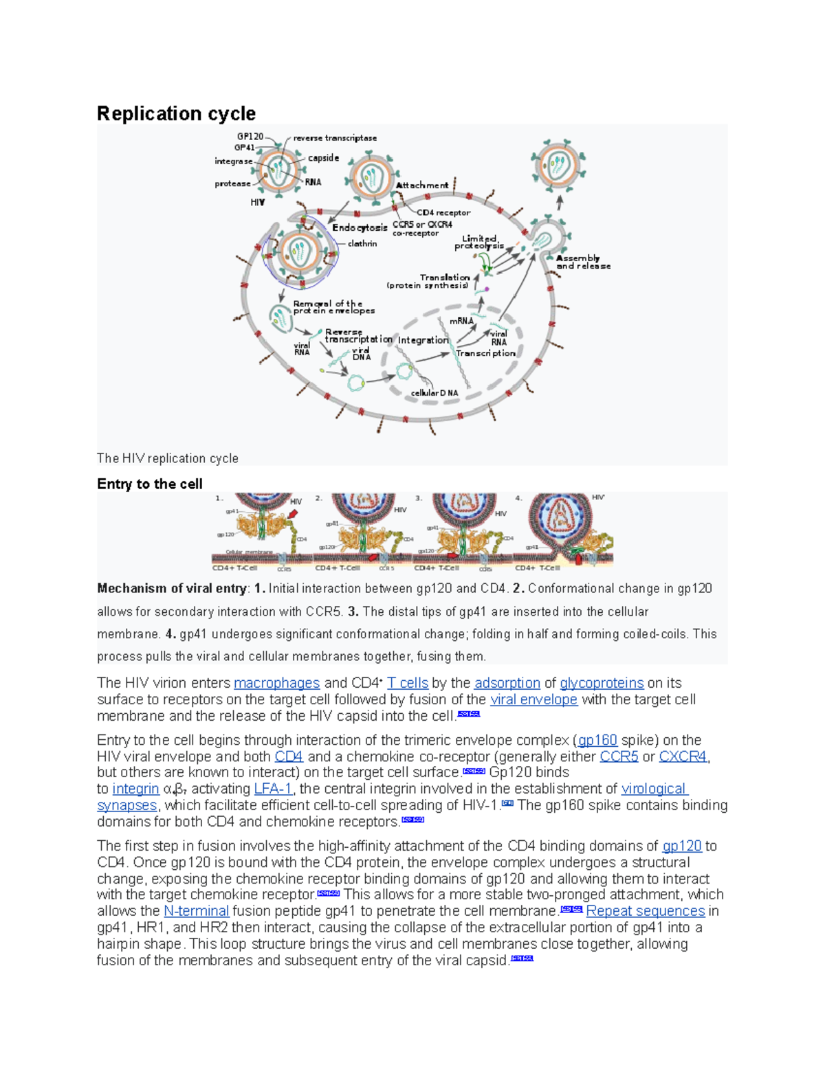 Replication Cycle Test2 Replication Cycle The Hiv Replication Cycle